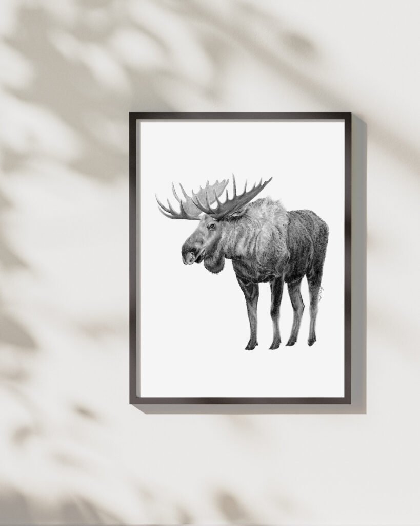 Moose Art Print | Canadian Artist | Pen On Paper Co | Kelowna, BC