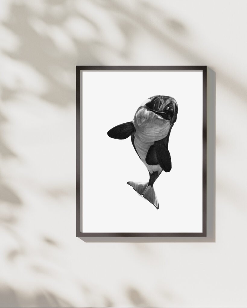 Orca Art Print | Canadian Artist | Pen On Paper Co | Kelowna, BC