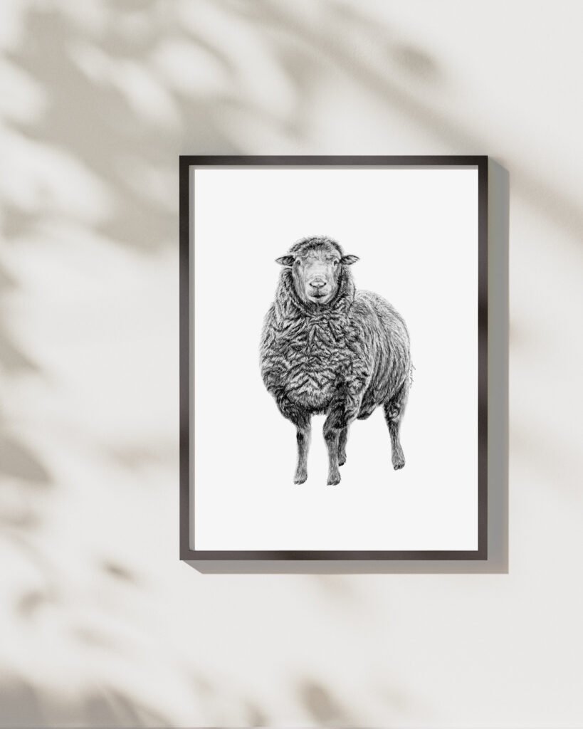 Sheep Art Print | Canadian Artist | Pen On Paper Co | Kelowna, BC