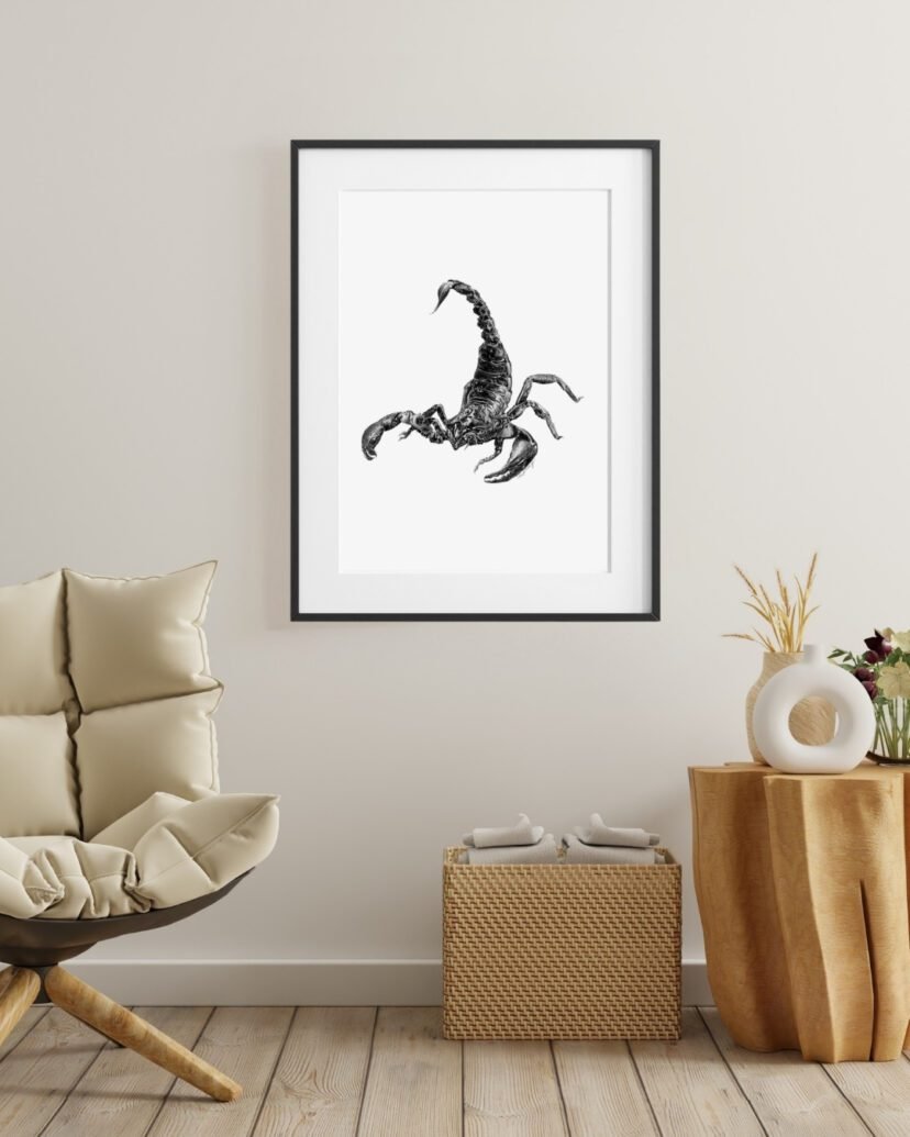 Scorpion Poster | Pen On Paper Co | 24x36 | Animal Ink Sketch Art ...