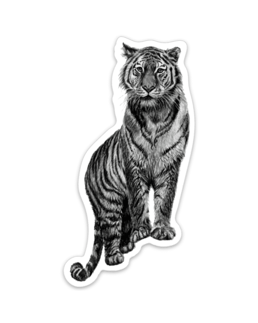 Tiger Magnet | Canadian Artist | Pen On Paper Co | Kelowna